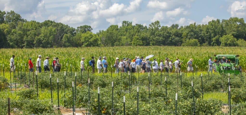 Climate-Smart Field Day Draws Southeast Growers | CAES News